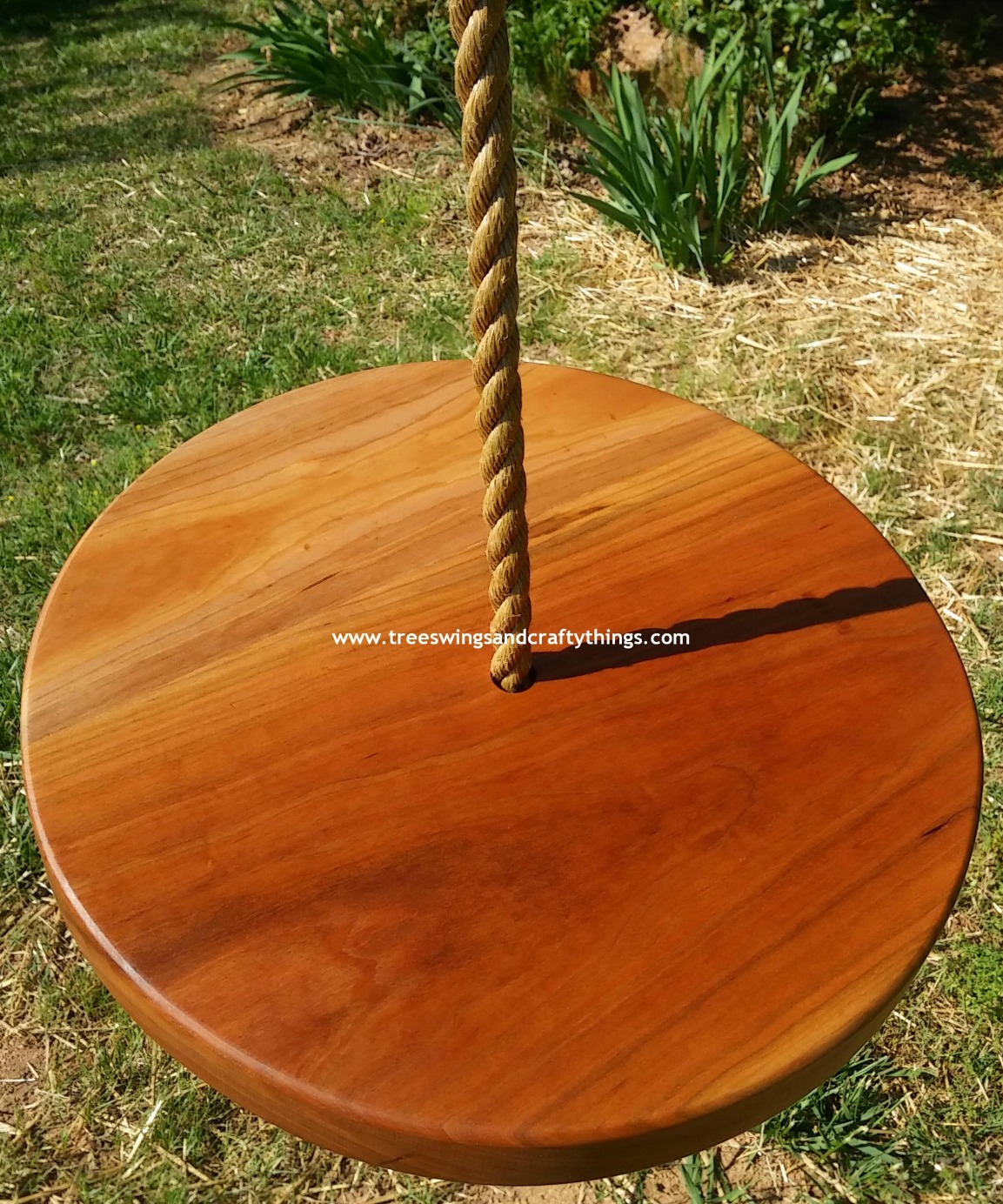 Cherry Disc Wood Tree Swing
