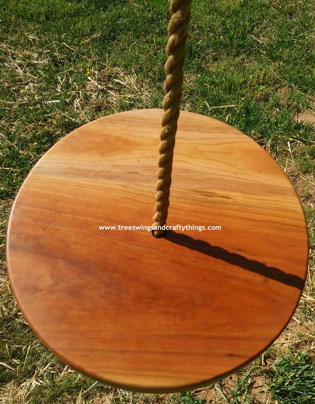 Cherry Disc Wood Tree Swing